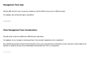 Make Your Own NDIS Business Plan With This Template | Brevity