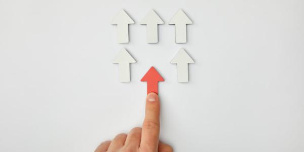 NDIS Orientation Module: A Guide for Providers & Workers | Brevity